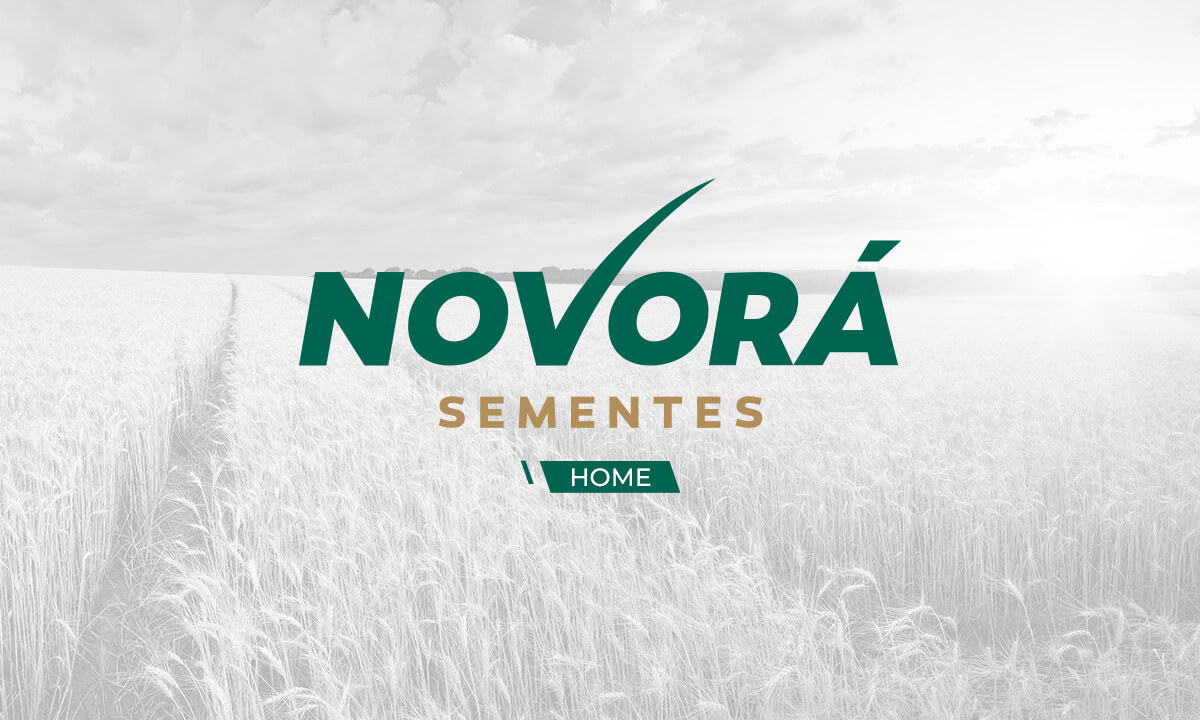 Novorá Sementes - Pura germinação e vigor