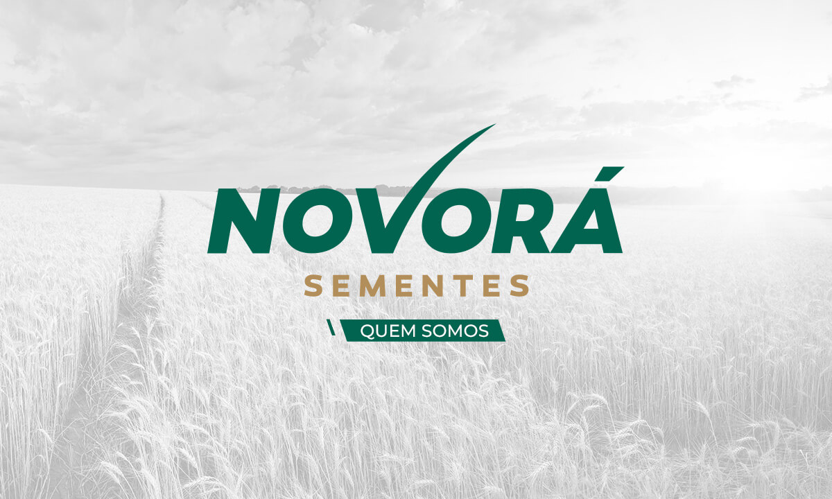 Novorá Sementes - Quem Somos
